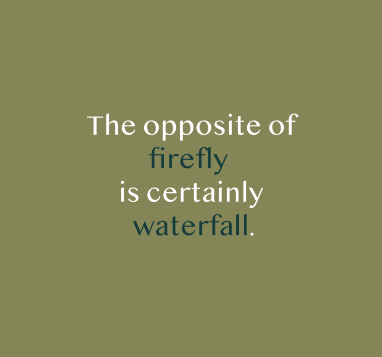 21 Reasons Why the English Language is so Confusing. | The Language Nerds