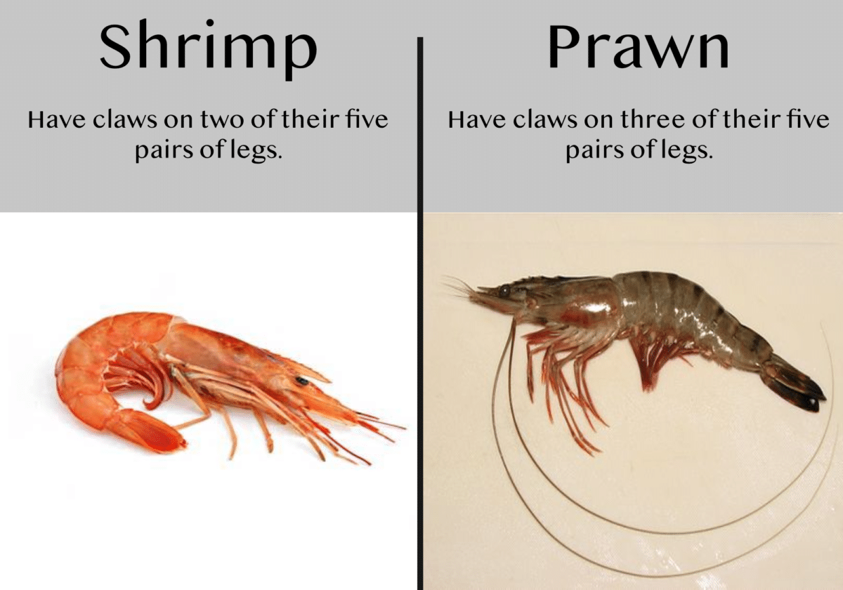 24 Things Most People Think Are The Same But They Are Actually ...