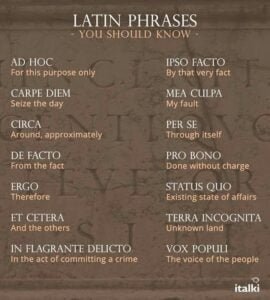 77 Common Latin Words and Phrases Used in English That You Should Know ...