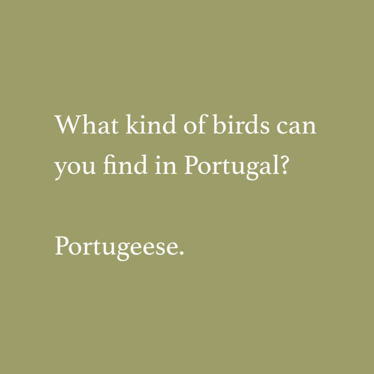 21 Creative Country Jokes and Puns That are Just Hilarious. | The ...