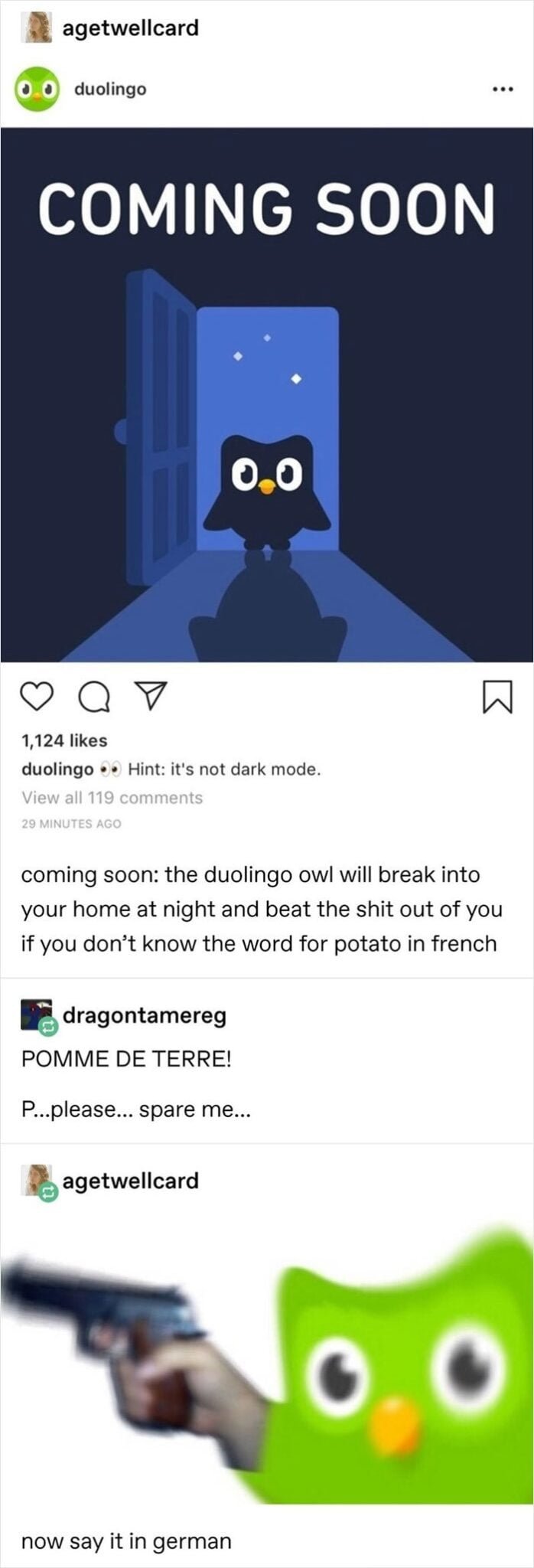 24 Duolingo Memes and Jokes That Will Make You Chuckle. | The Language ...