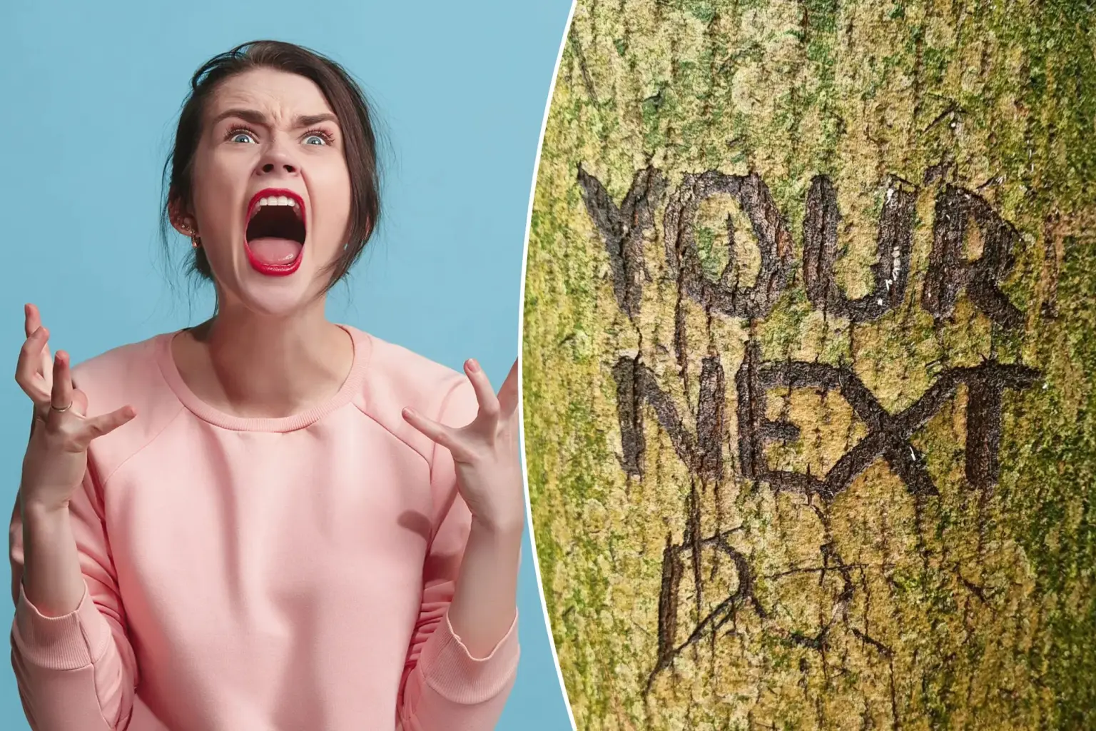 Hearing Bad Grammar Causes Physical Distress, Study Reveals. | The ...