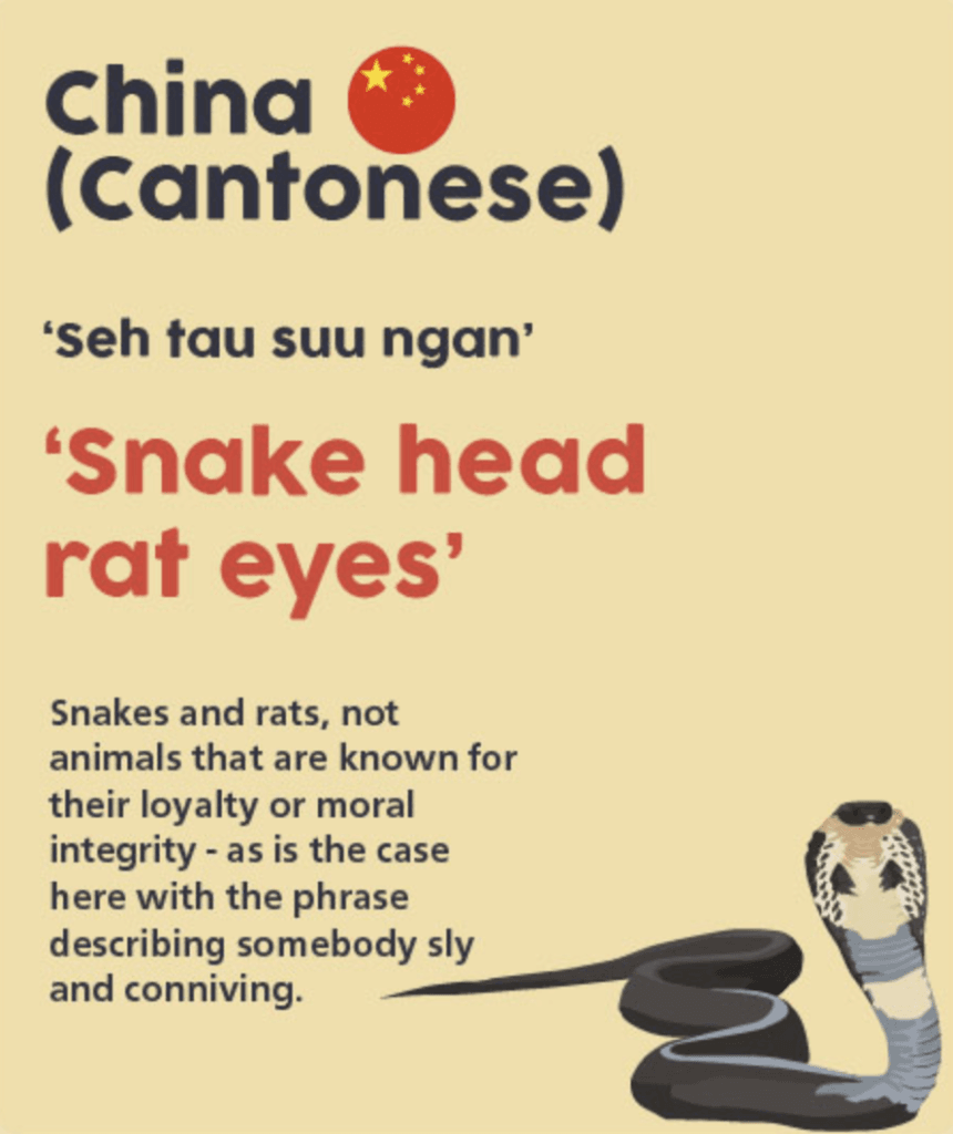 20 of the Weirdest Insults From Around the World. | The Language Nerds